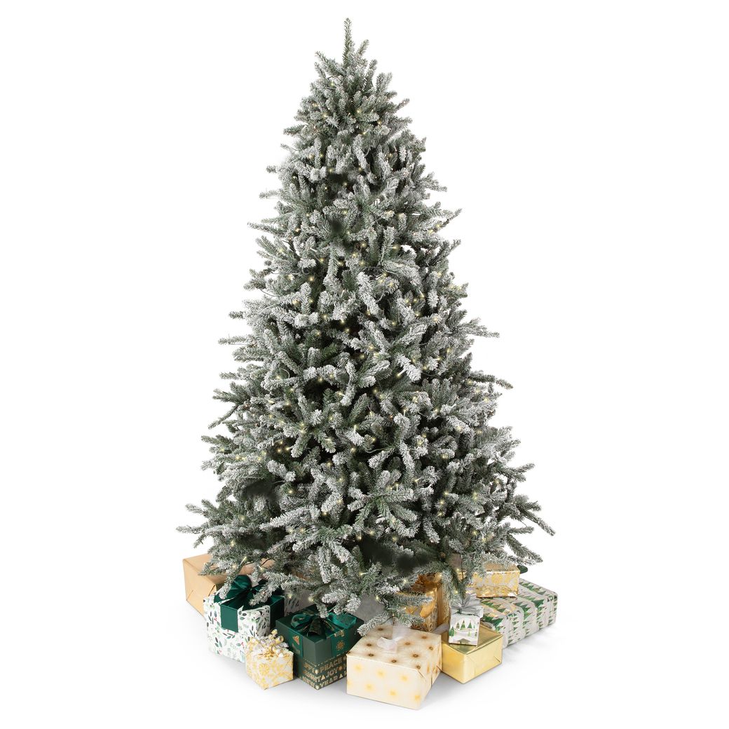 7' Blue Spruce Frosted Tree - Papyrus