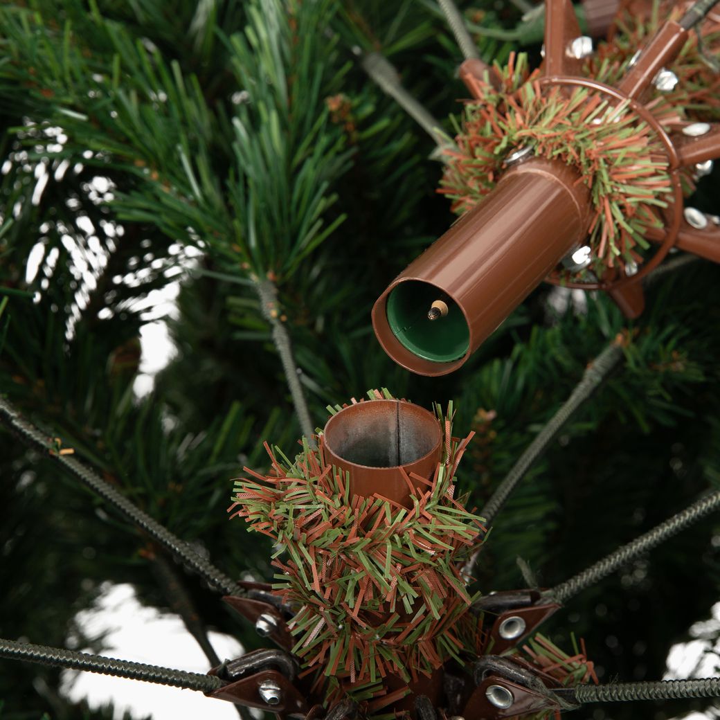 9' Carolina Pine Tree - Papyrus