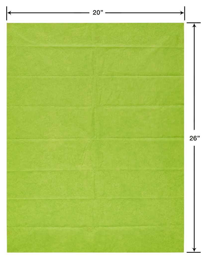 Lime Green Tissue Paper, 8-Sheets - Papyrus