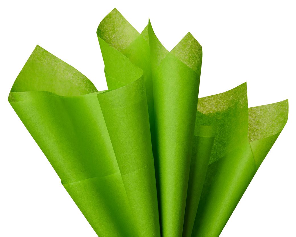 Tissue Paper Bundle, Solids, 48 Sheets - Papyrus