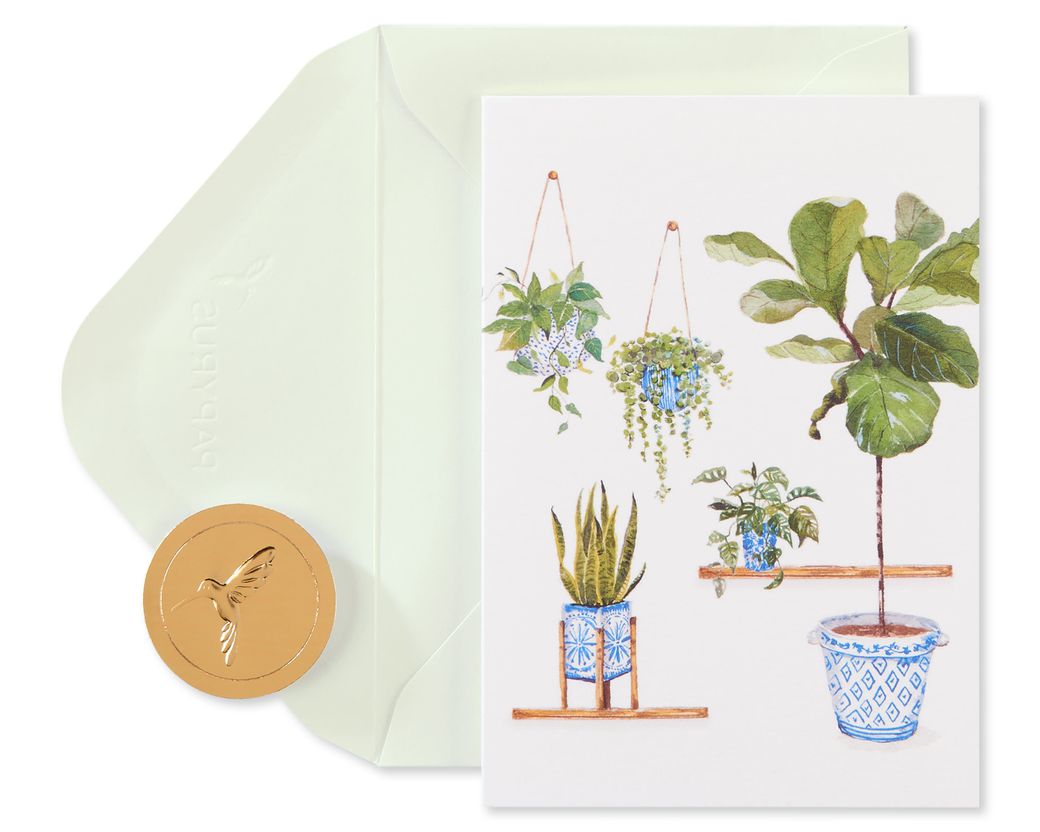 Indoor Garden Boxed Blank Note Cards With Envelopes, 14-Count - Papyrus