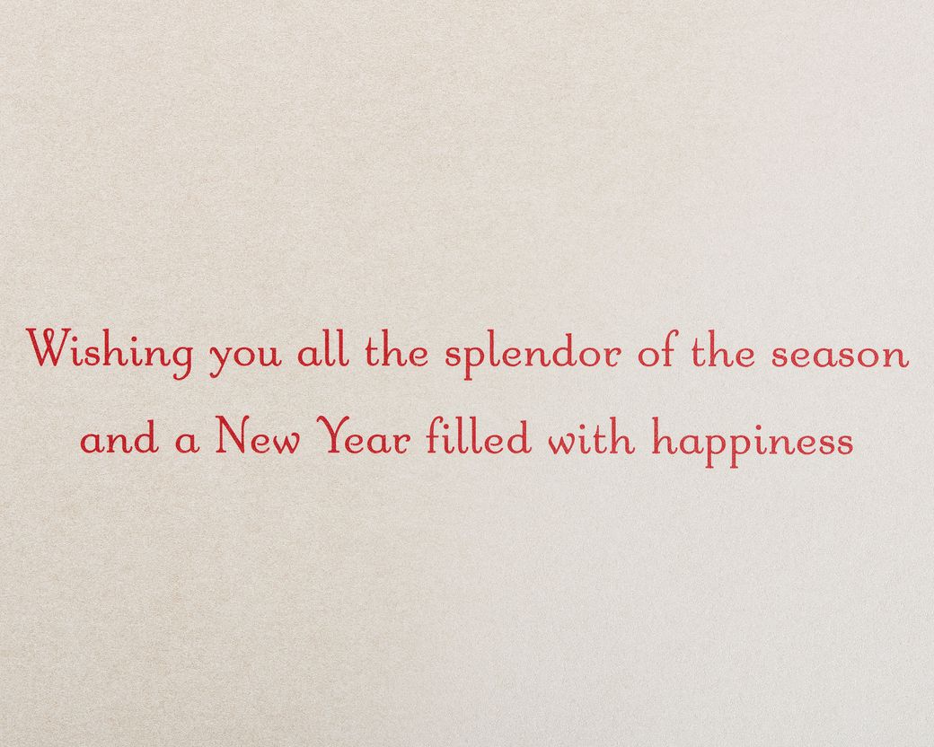 Splendor Of The Season Christmas Boxed Cards, 12-Count - Papyrus