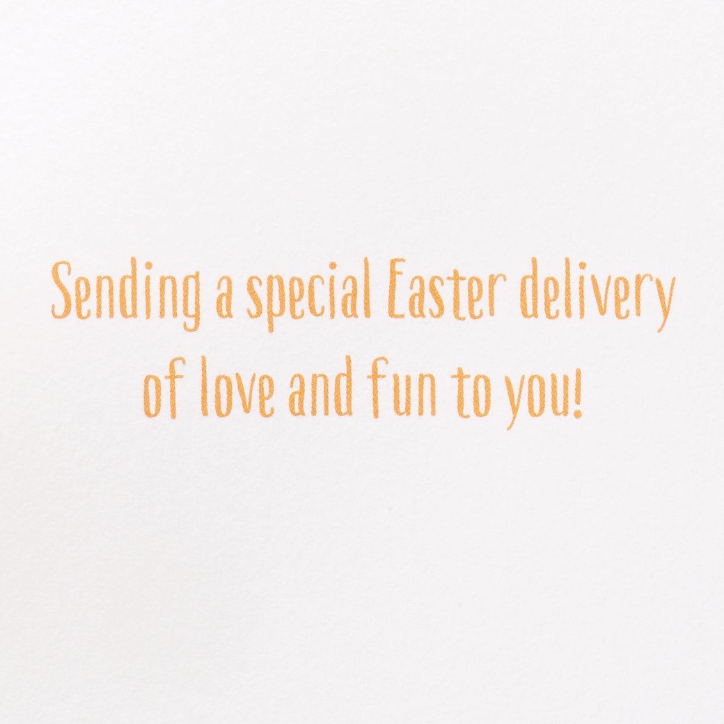 Special Easter Delivery Easter Greeting Card With Bunny Finger Puppet ...