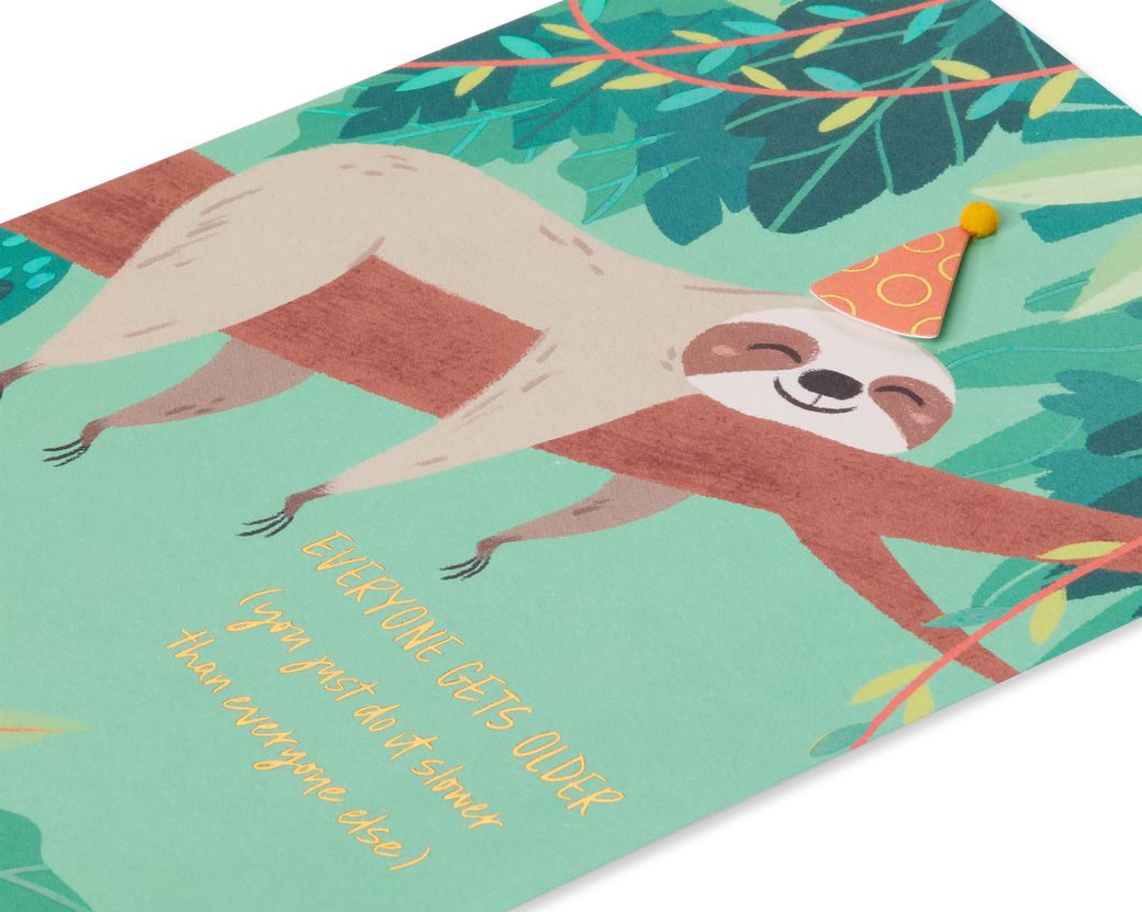 Sloth Funny Birthday Greeting Card - Papyrus