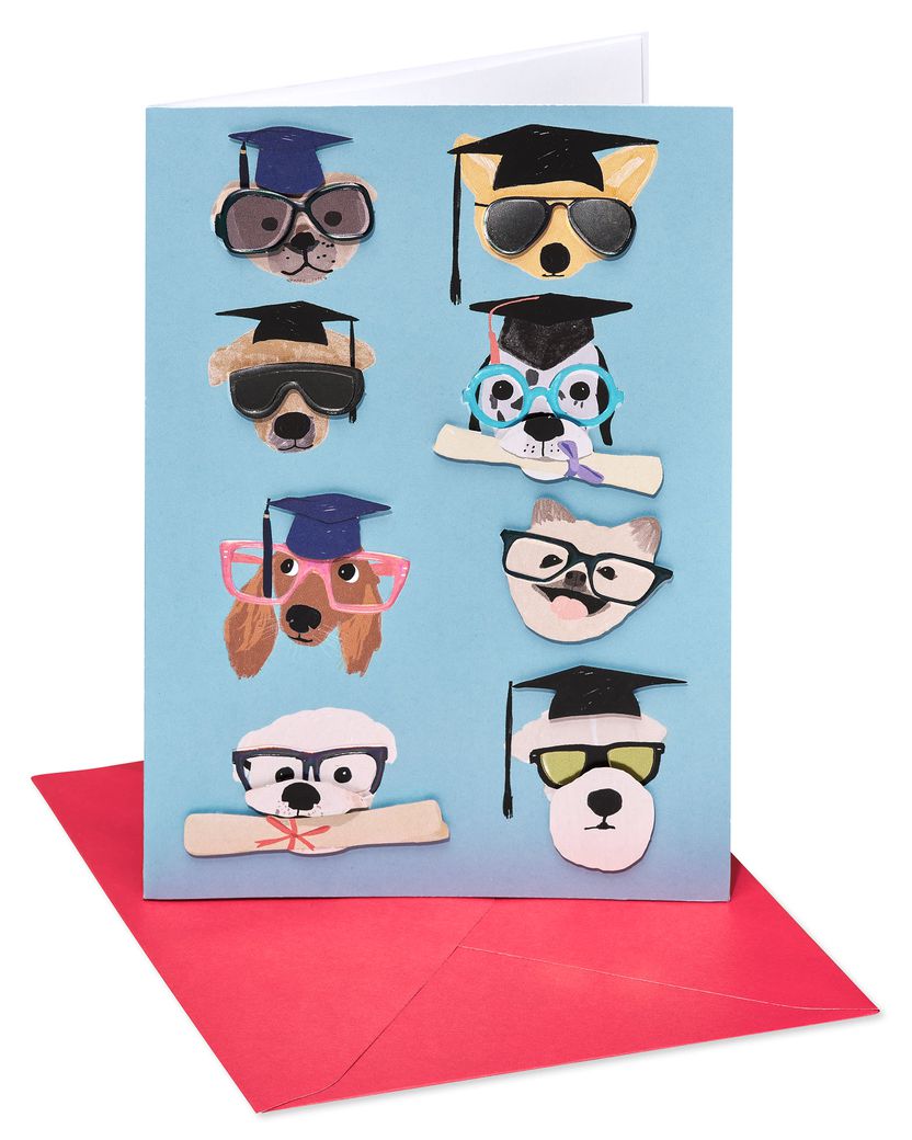 Job Well Done Graduation Greeting Card - Papyrus