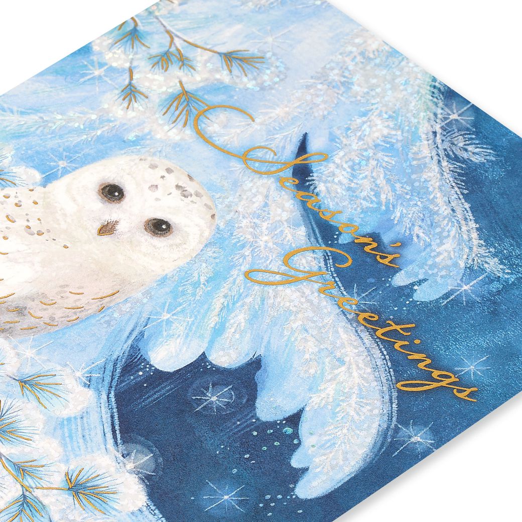 Snowy Owl Holiday Boxed Cards, 14-Count - Papyrus