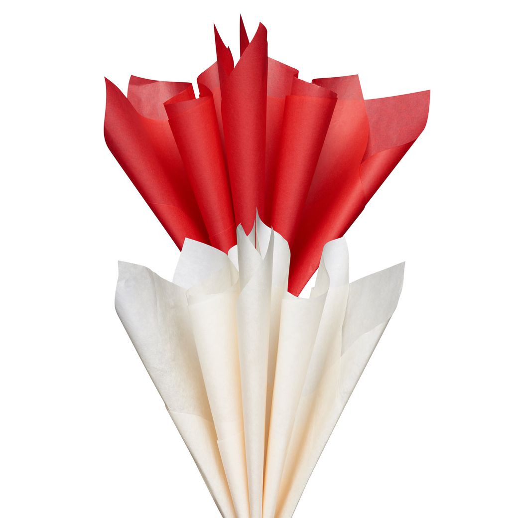 Red And White Holiday Tissue Paper, 16 Sheets - Papyrus