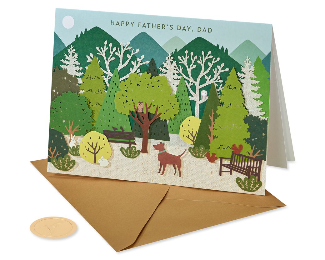 Amazing Adventure Pop Up Father's Day Greeting Card - Papyrus