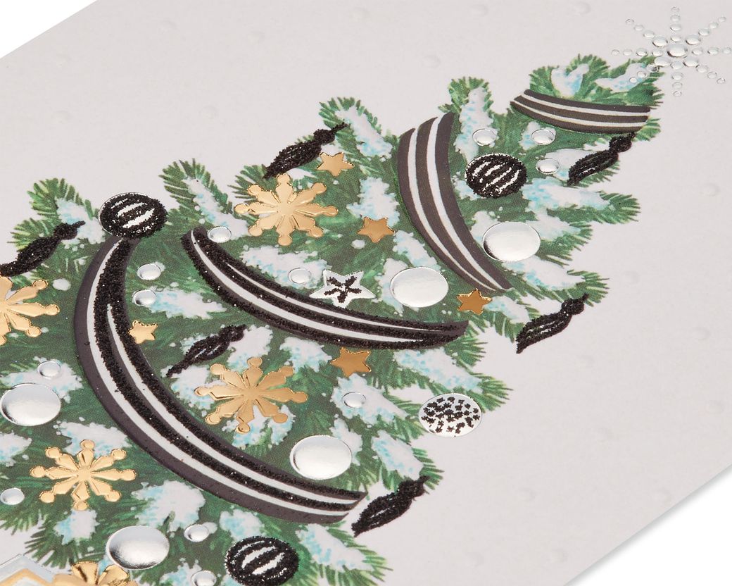 Splendor Of The Season Christmas Boxed Cards, 12-Count - Papyrus