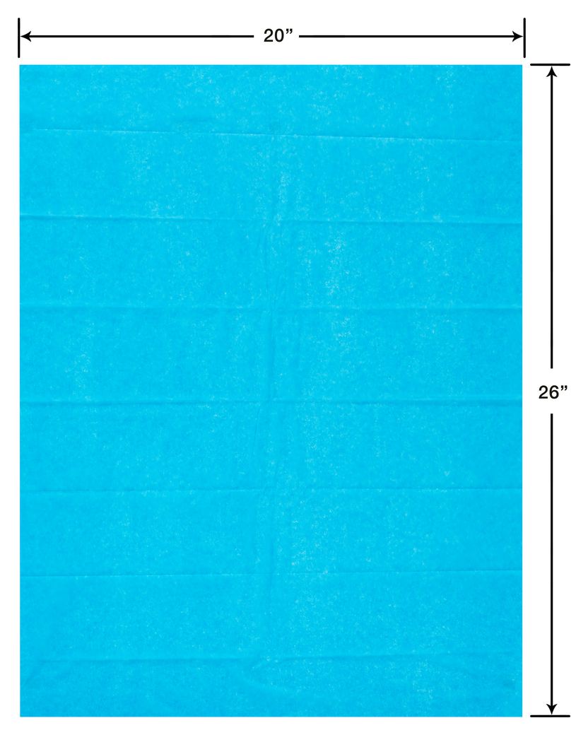 Turquoise Tissue Paper, 8-Sheets - Papyrus